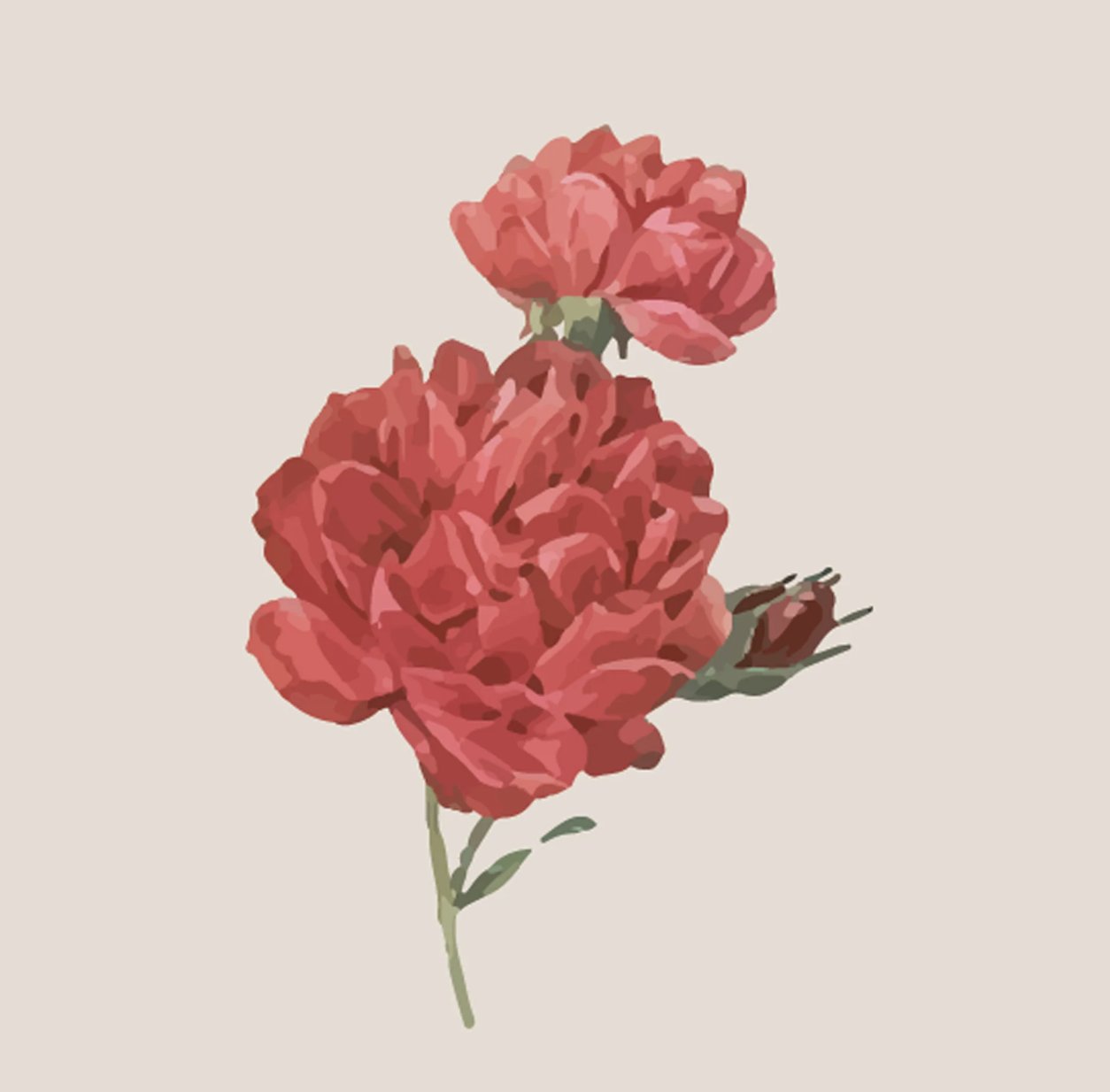 Order Get Well Soon Flowers In Bangalore for your close ones – Ohana ...